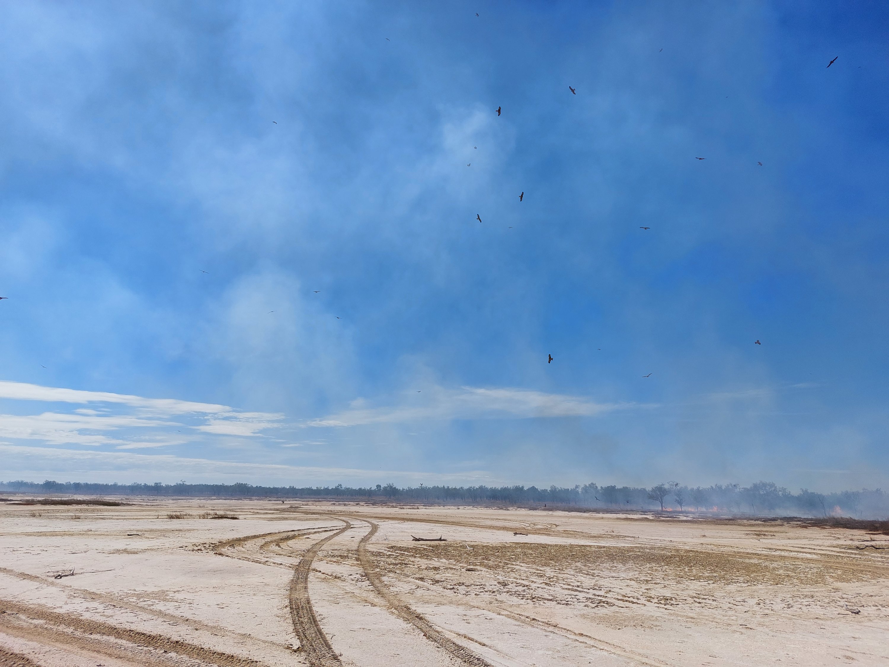 Rest day – Mutton Hole Wetlands | arctic-cycler.com
